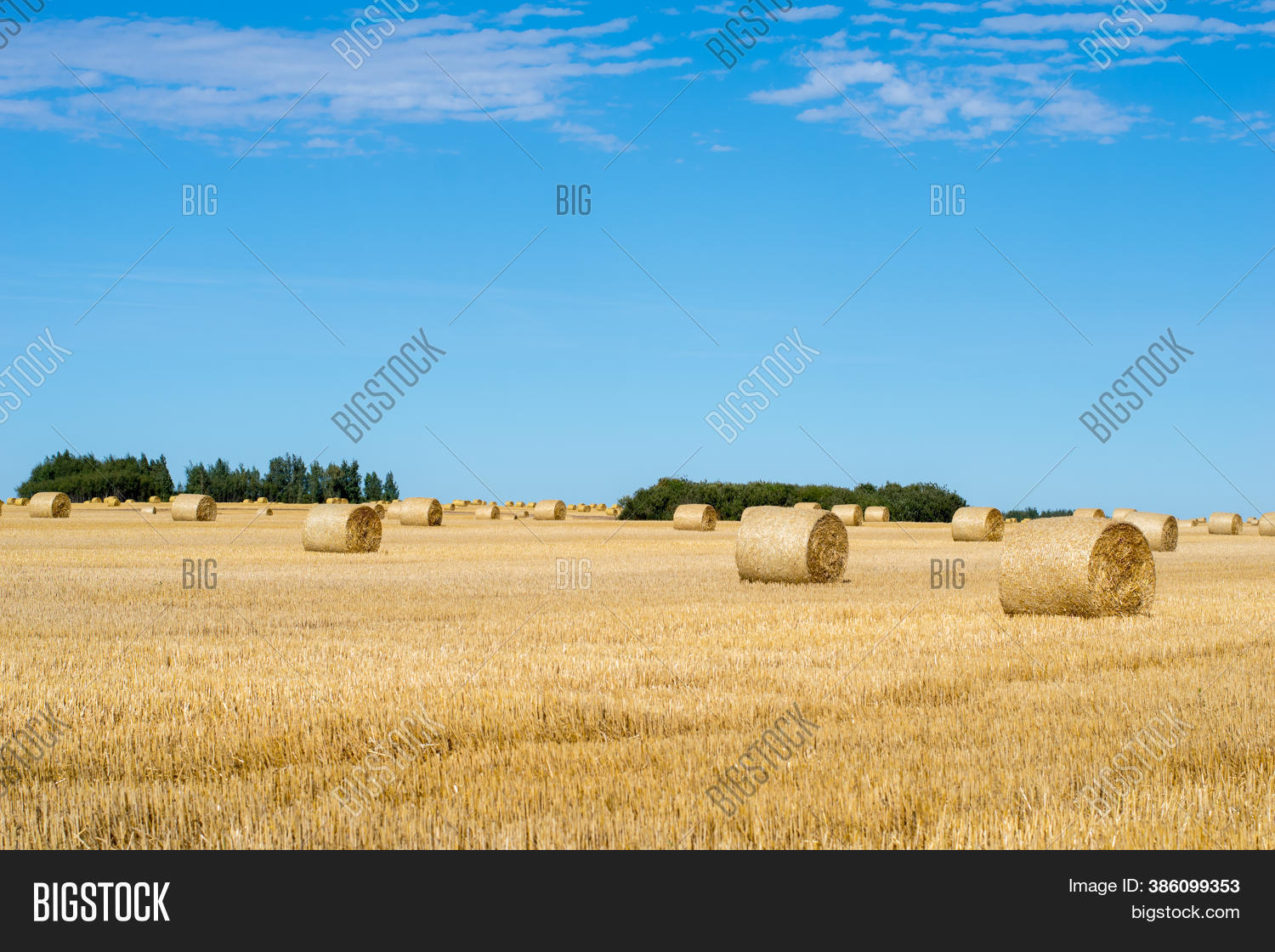 Haystack Rolls On Image & Photo (Free Trial) | Bigstock