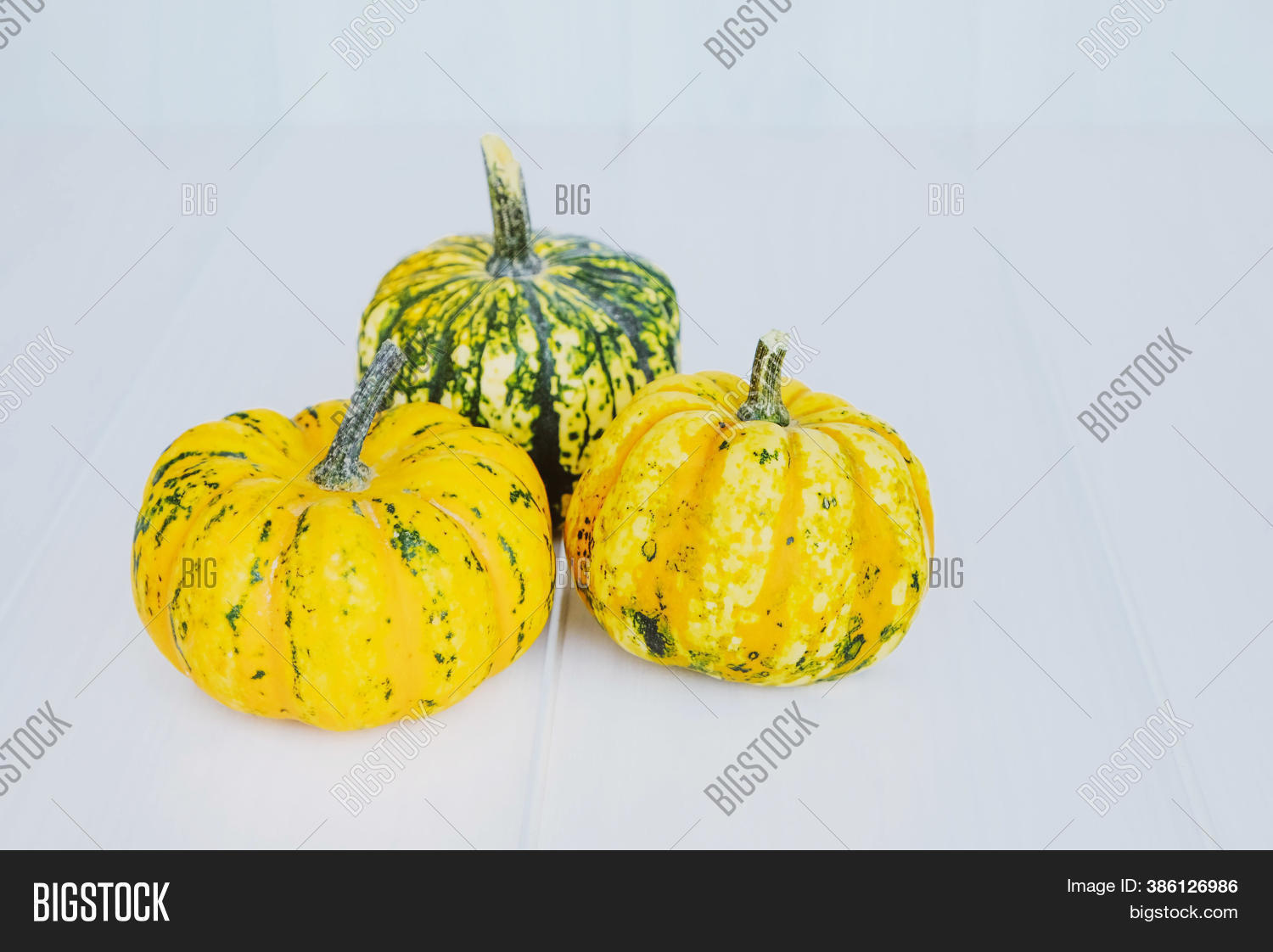 Colorful Mini Pumpkins Image & Photo (Free Trial) | Bigstock