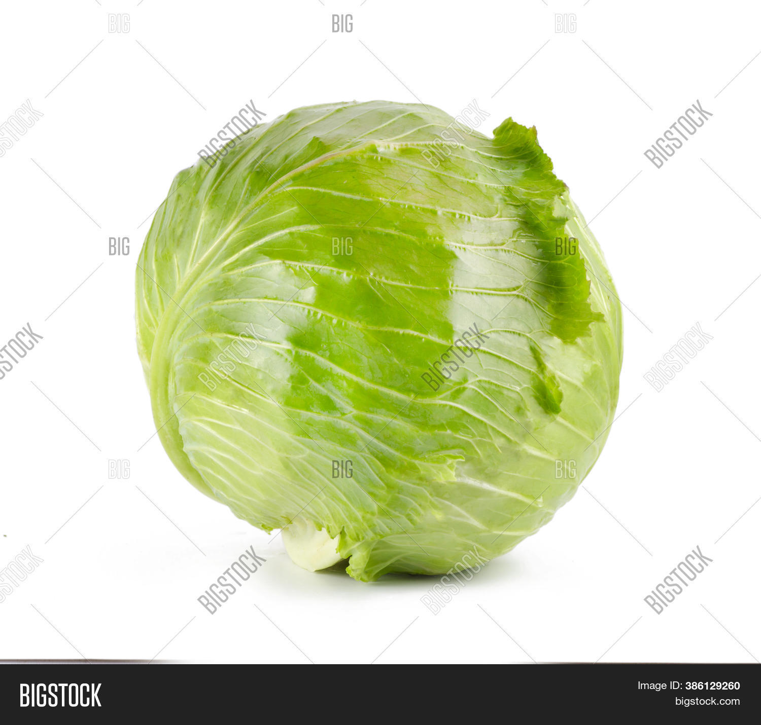 Green Fresh Cabbage Image & Photo (Free Trial) | Bigstock