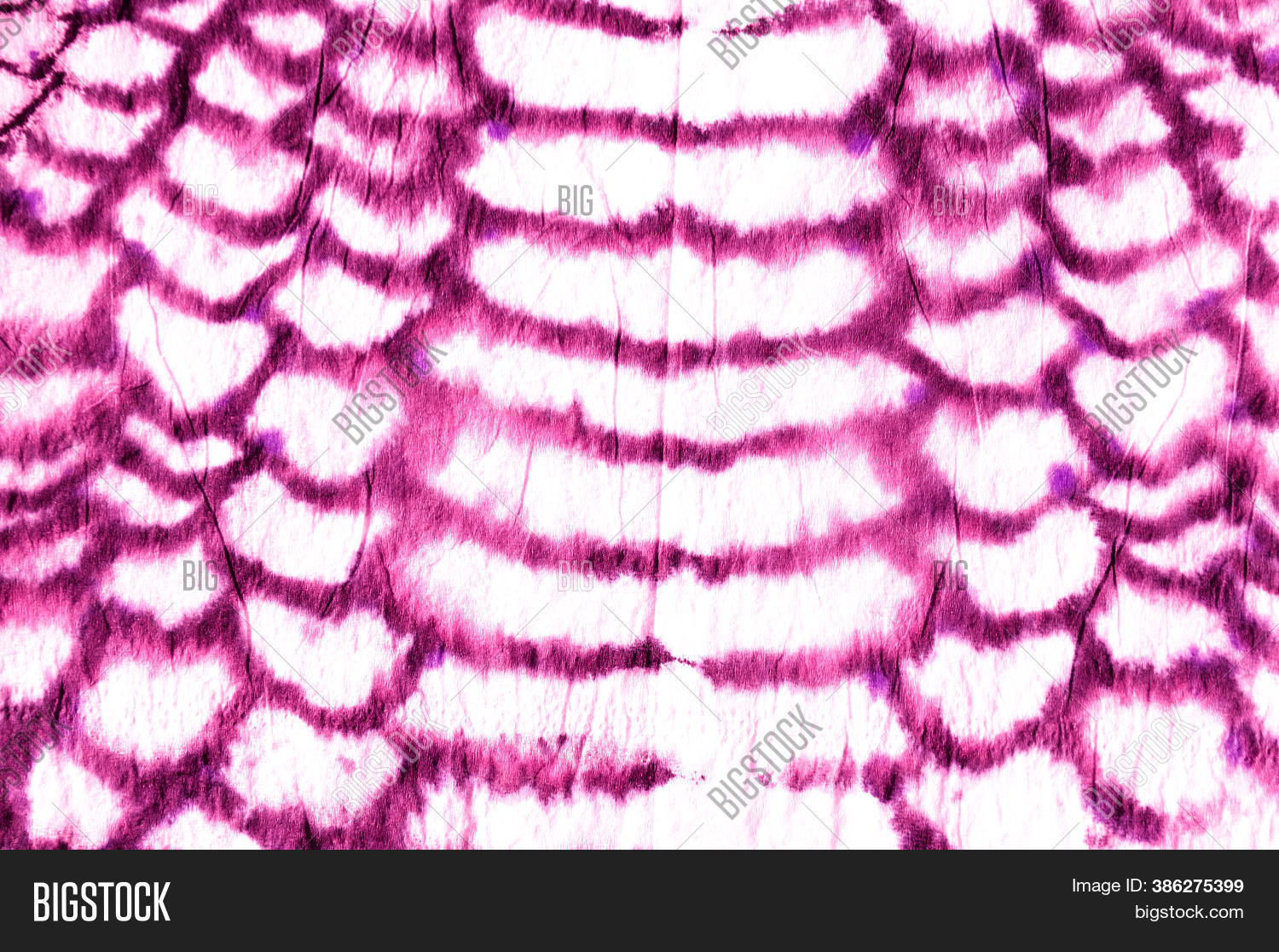 Predator Pattern. Image & Photo (Free Trial) | Bigstock