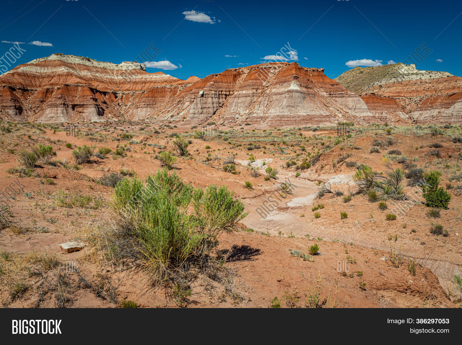 Toadstool Trail Leads Image & Photo (Free Trial) | Bigstock