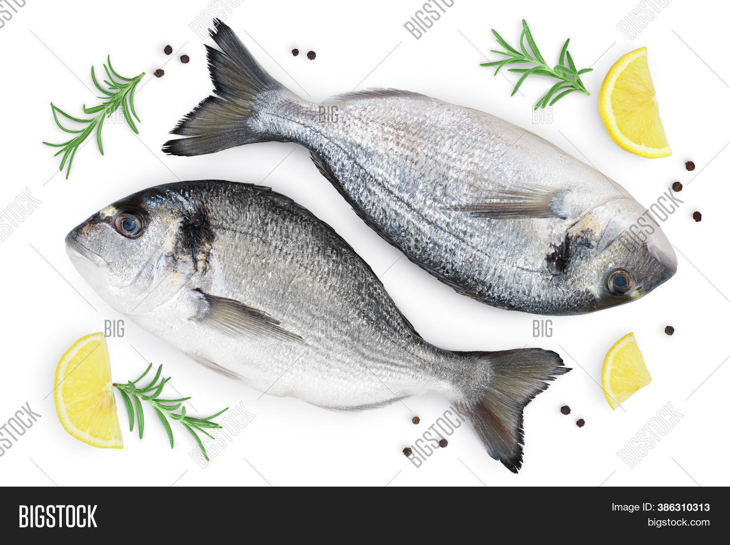 Fish Dorado Isolated Image & Photo (Free Trial) | Bigstock