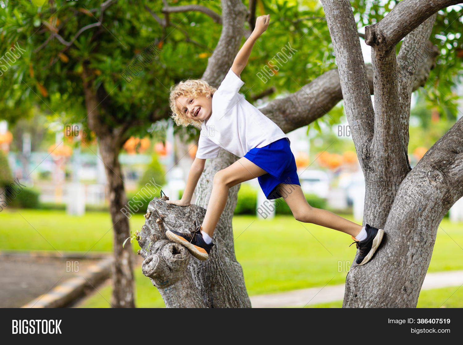 Kids Climb Tree Summer Image & Photo (Free Trial) | Bigstock