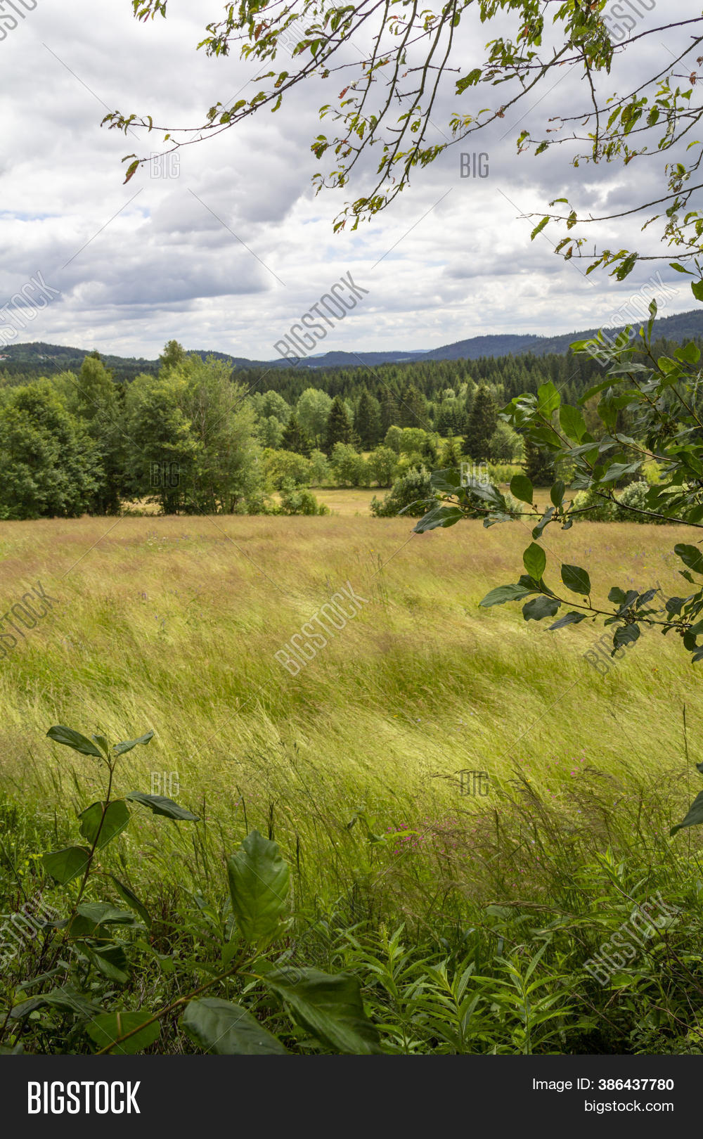 Idyllic Scenery Around Image & Photo (Free Trial) | Bigstock