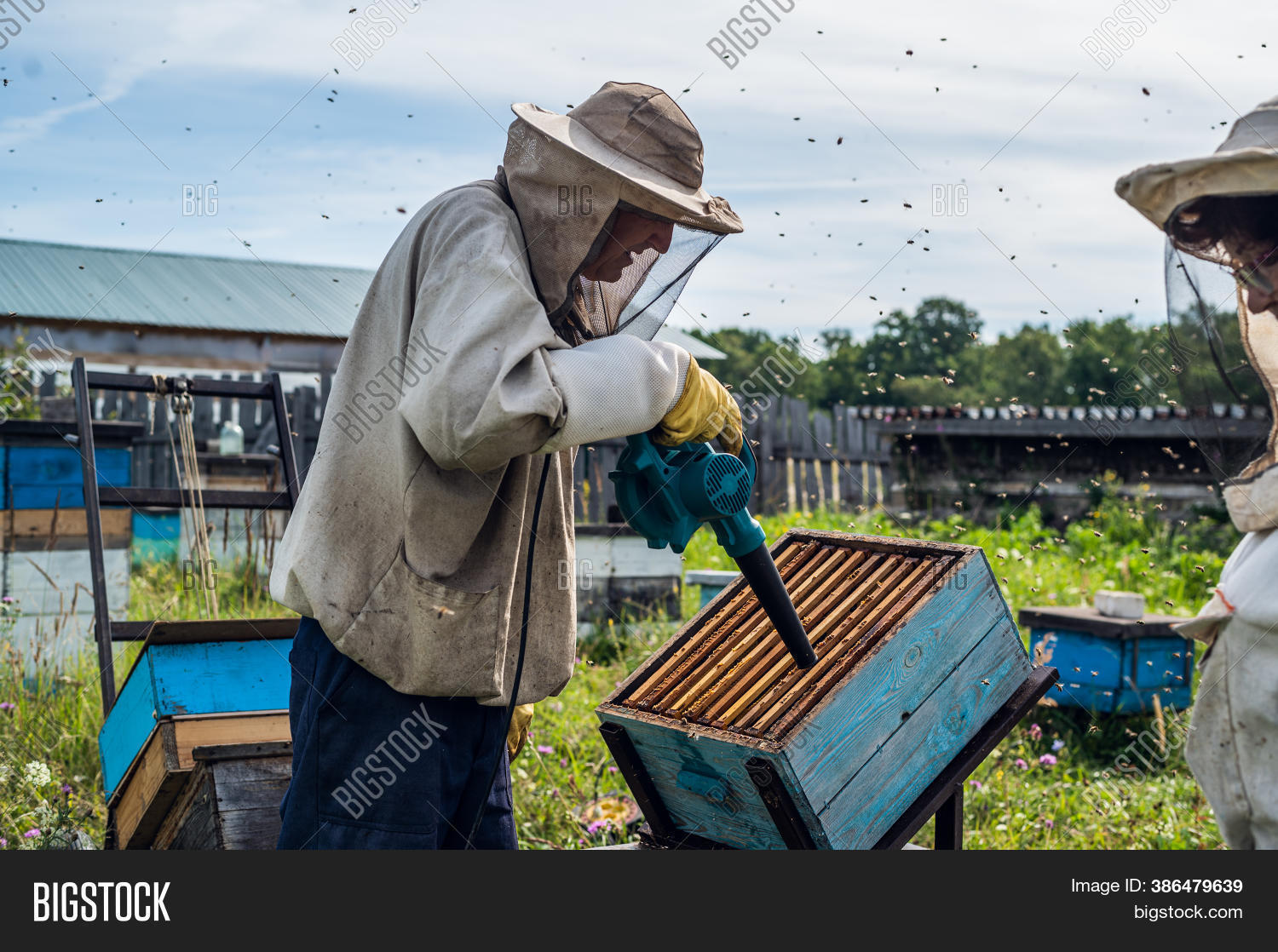 Beekeeper Using Blower Image & Photo (Free Trial) | Bigstock