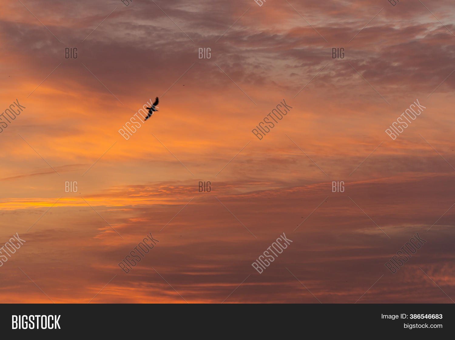Fiery Clouds Morning Image & Photo (Free Trial) | Bigstock