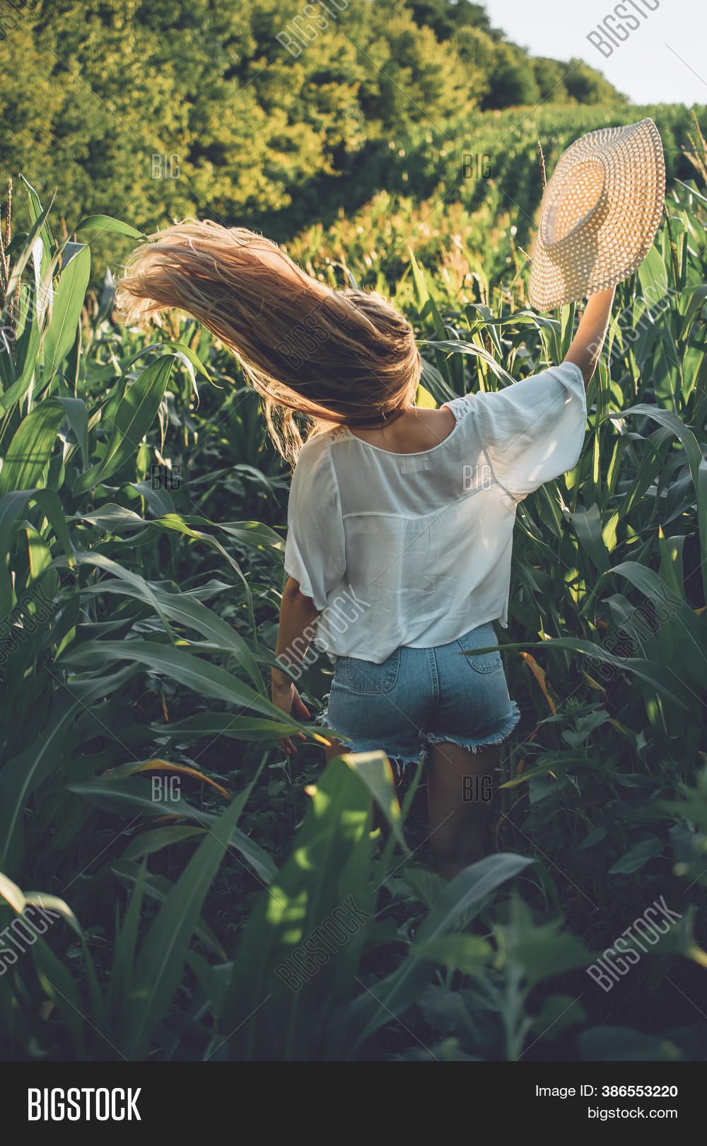 Sensitivity Nature, Image & Photo (Free Trial) | Bigstock