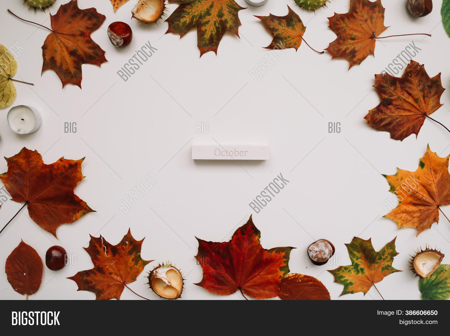 Autumn Composition. Image & Photo (Free Trial) | Bigstock