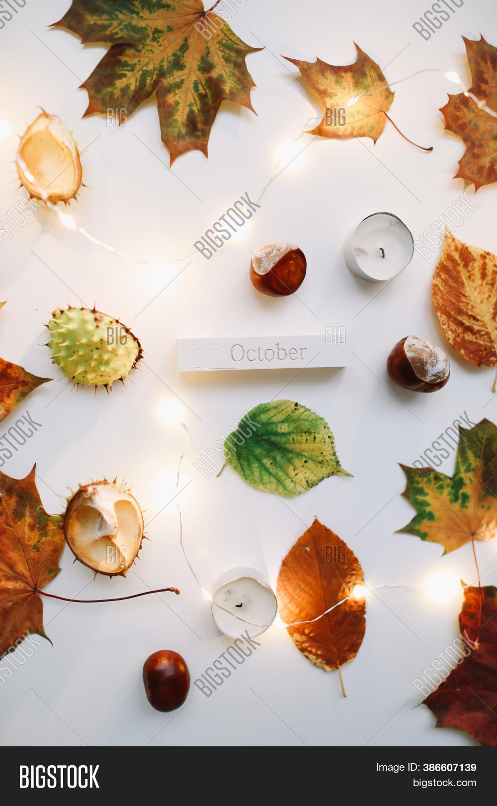 Autumn Composition. Image & Photo (Free Trial) | Bigstock