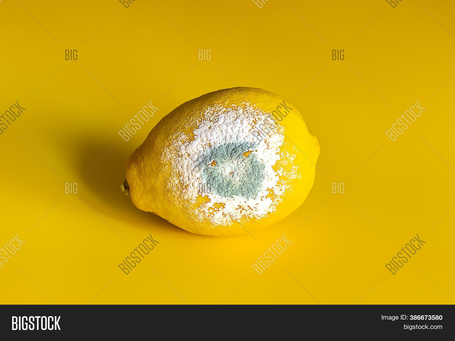 Spoiled Rotten Yellow Image & Photo (Free Trial) | Bigstock