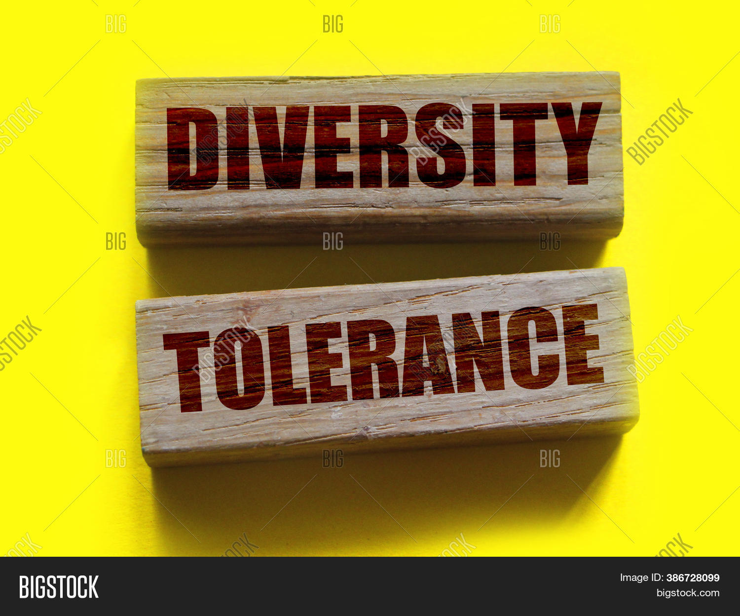 Diversity Tolerance Image & Photo (Free Trial) | Bigstock