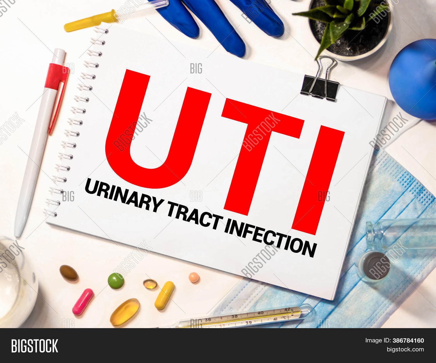 Uti Urinary Tract Image & Photo (Free Trial) | Bigstock