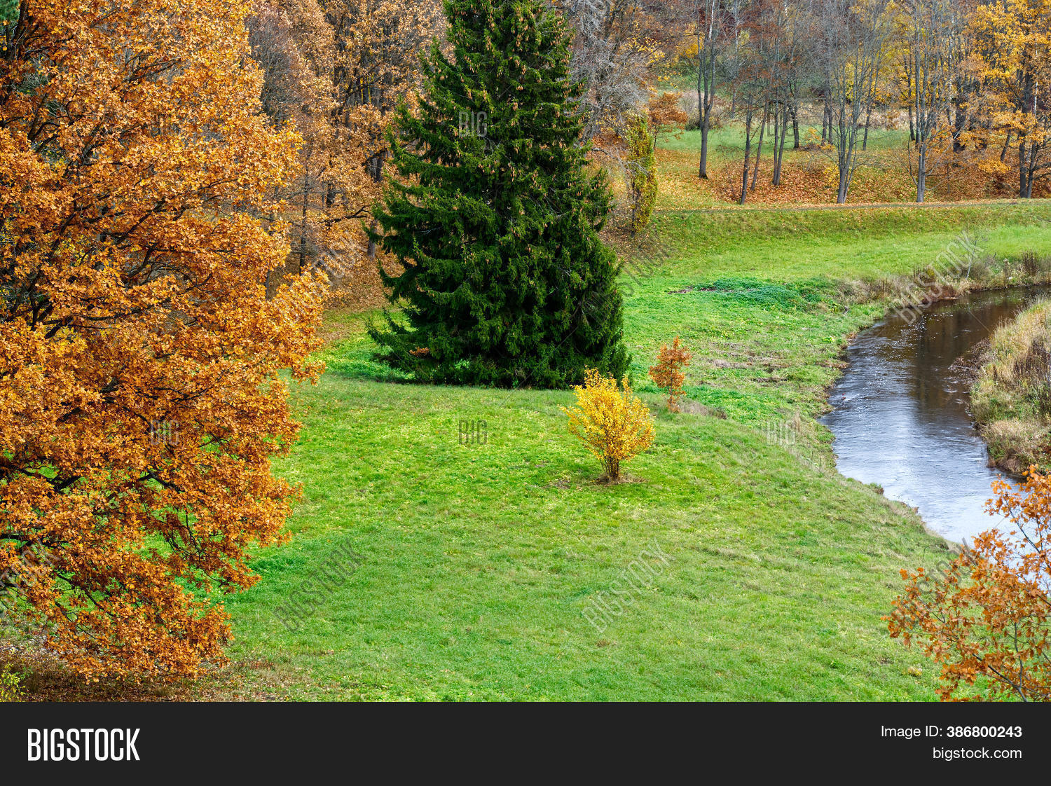 Panorama Mixed Forest Image & Photo (Free Trial) | Bigstock