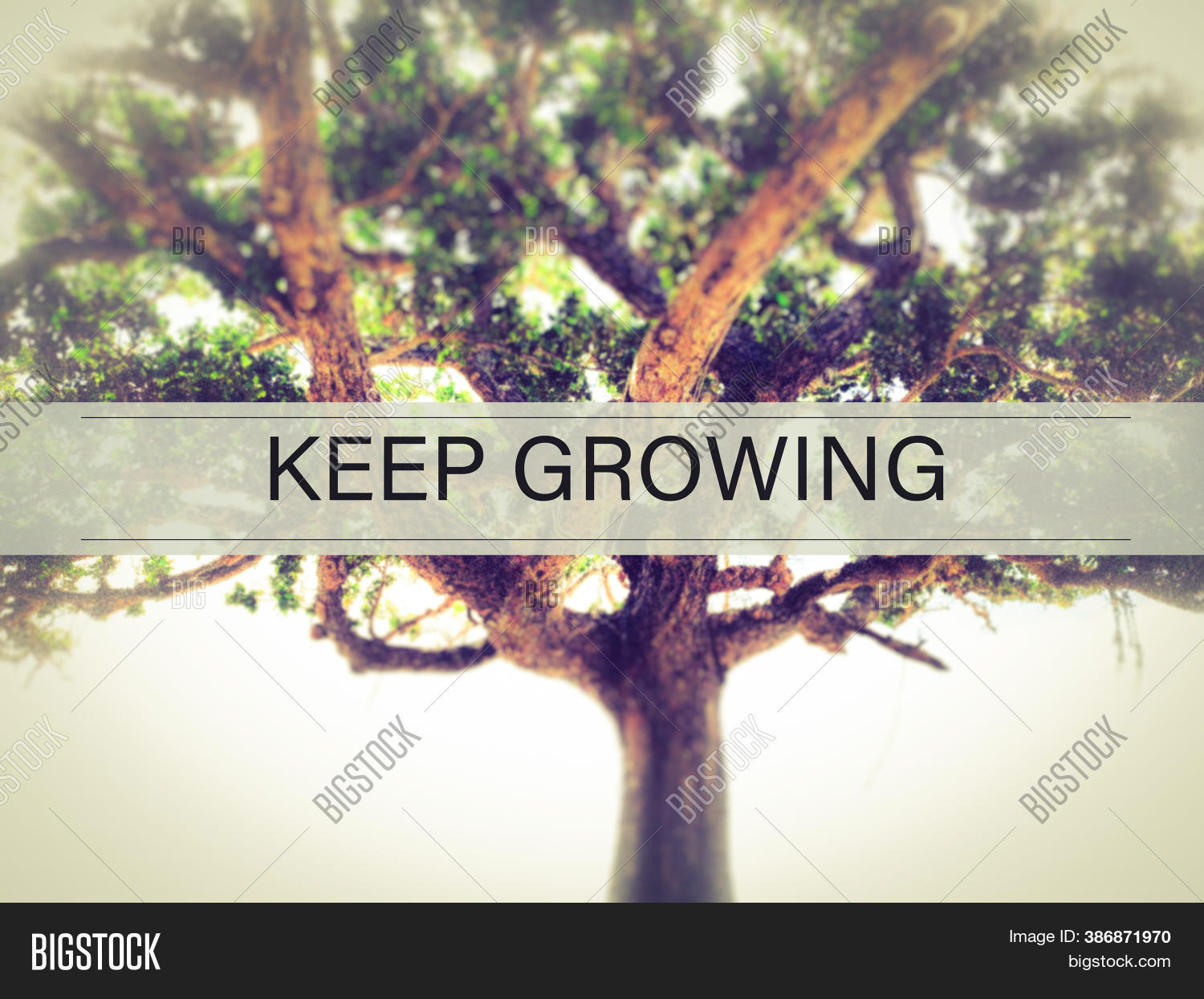 Keep Growing Text Image & Photo (Free Trial) | Bigstock
