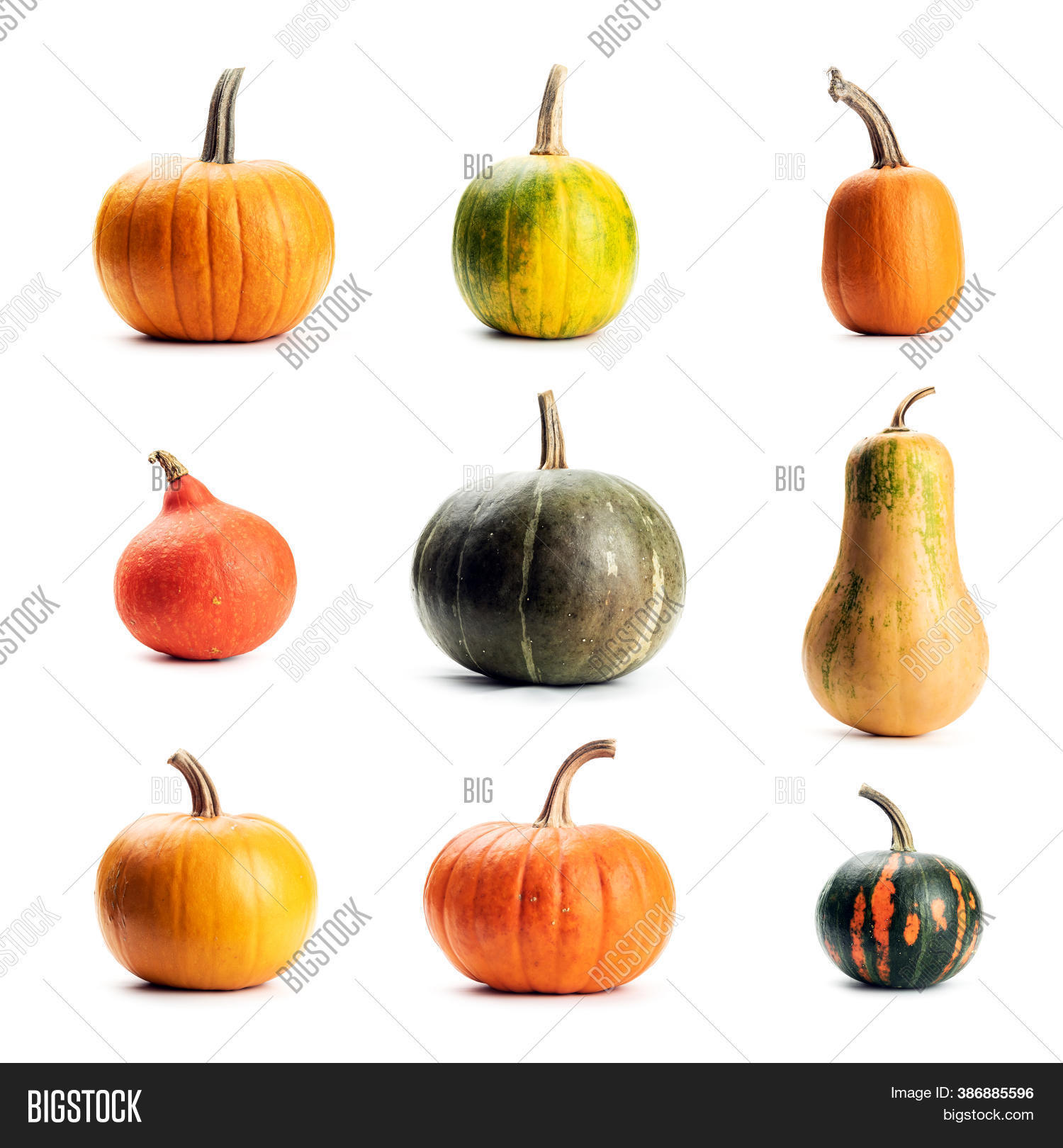 Set Different Pumpkins Image & Photo (Free Trial) | Bigstock