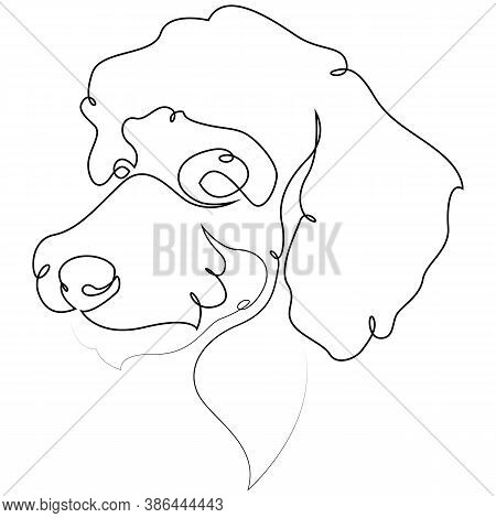 Poodle Drawing Images, Illustrations & Vectors (Free) - Bigstock