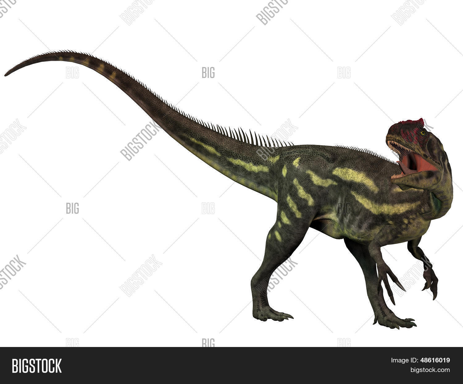 Allosaurus Isolated Image & Photo (Free Trial) | Bigstock