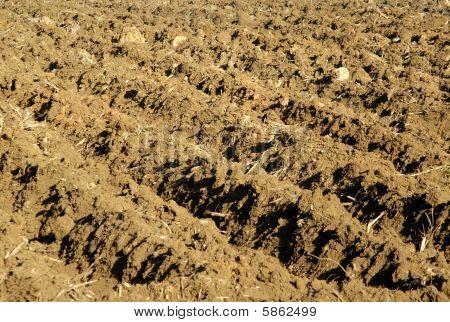 Tilled Soil Image & Photo (Free Trial) | Bigstock