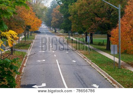 Fall Colours On Tree Image & Photo (Free Trial) | Bigstock