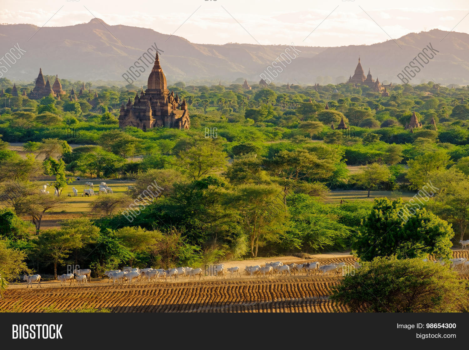 Landscape View Ancient Image & Photo (Free Trial) | Bigstock