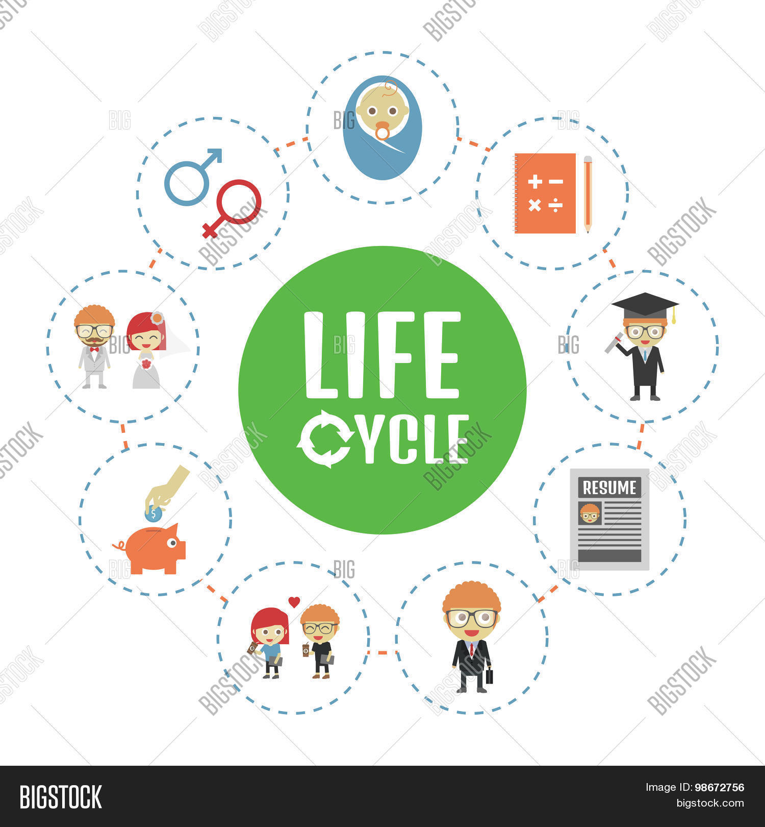 Life Cycle Vector & Photo (Free Trial) | Bigstock