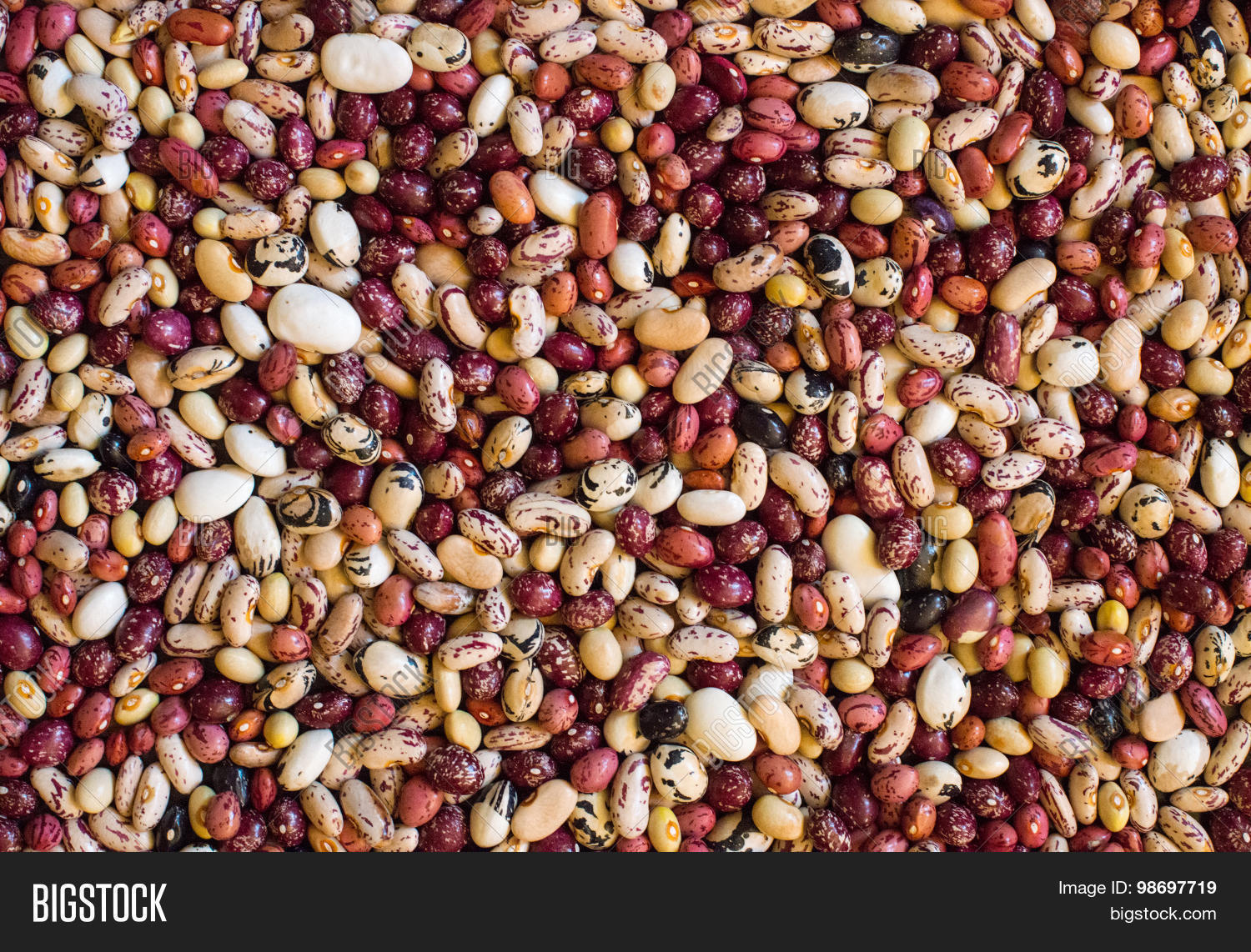 Beans Different Colors Image & Photo (Free Trial) | Bigstock