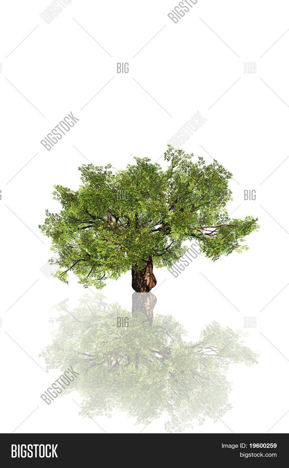 High Resolution Old Image & Photo (Free Trial) | Bigstock