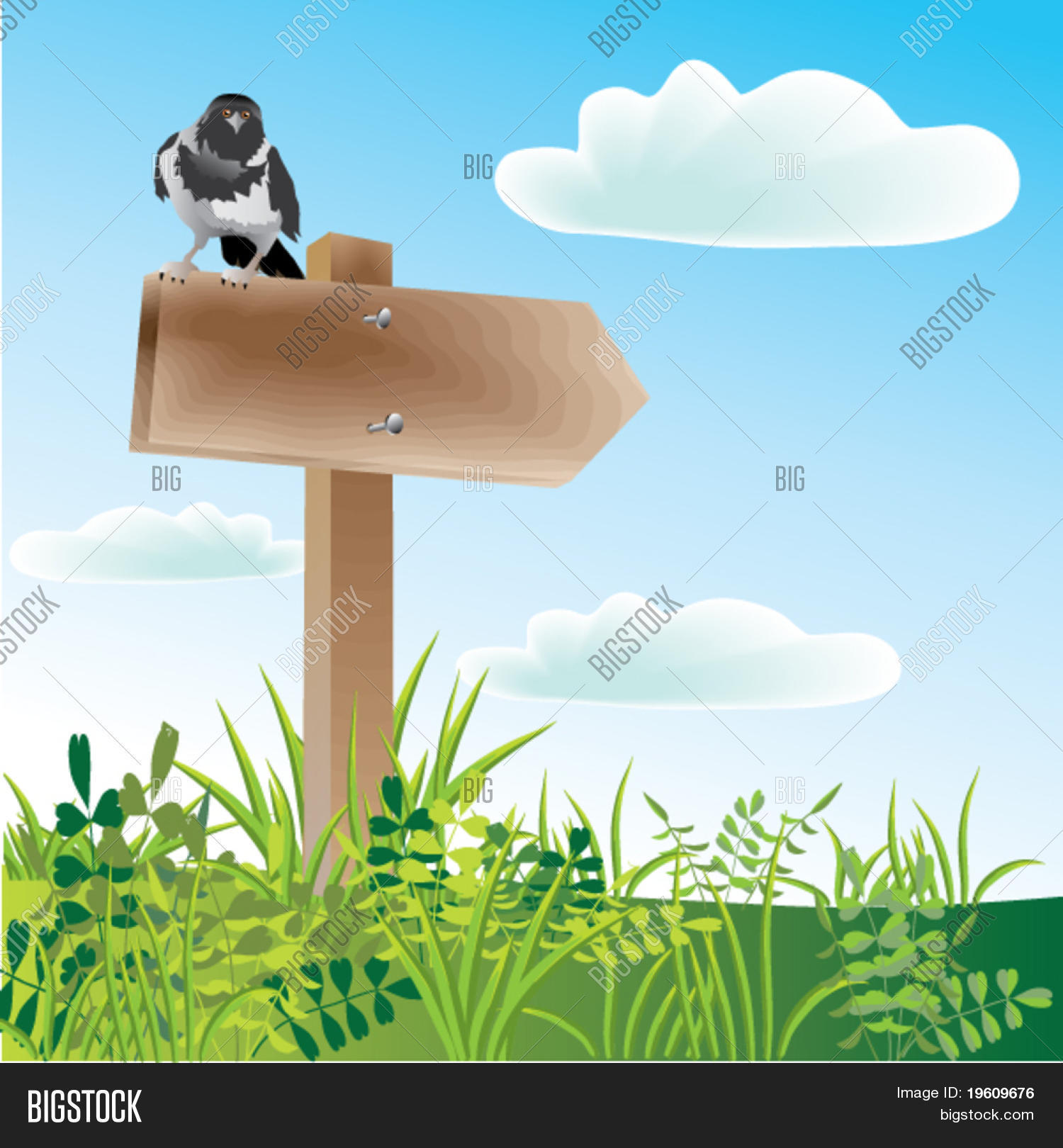 Pointer Way Raven Vector & Photo (Free Trial) | Bigstock