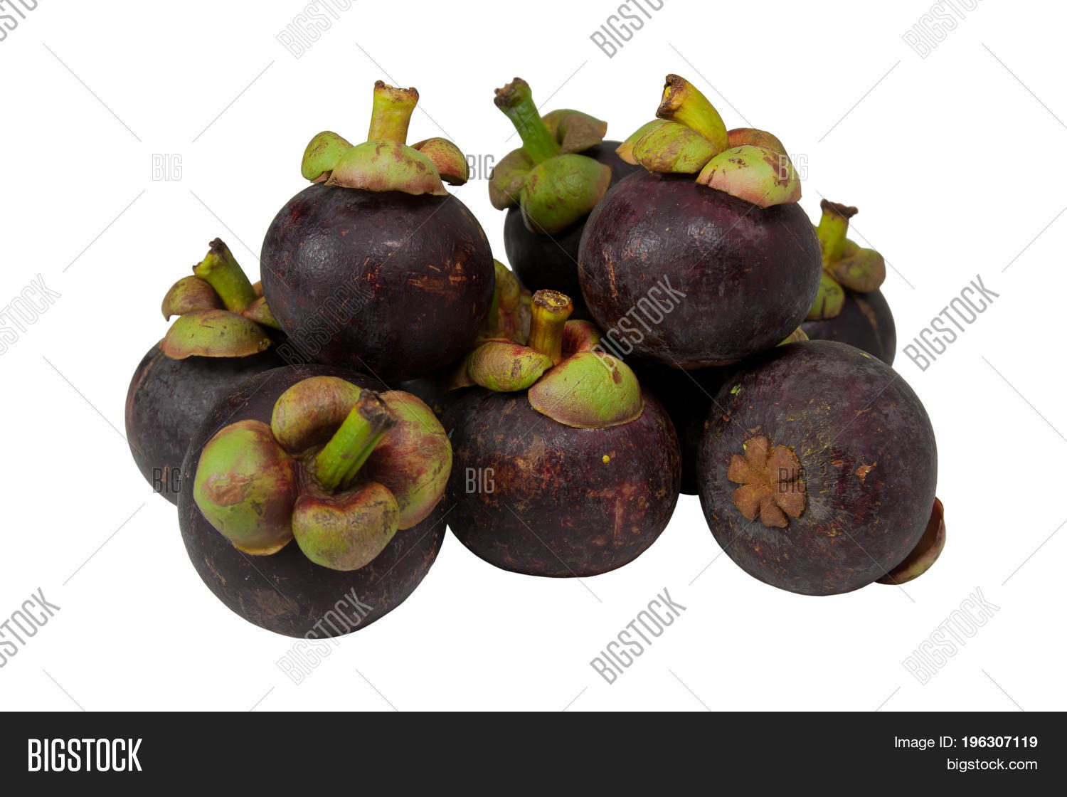 Group 图片和照片（免费试用） | Bigstock