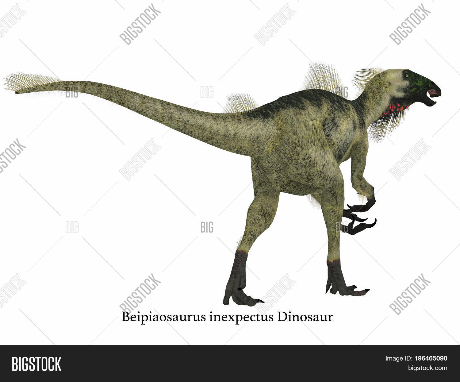 Beipiaosaurus Dinosaur Image & Photo (Free Trial) | Bigstock