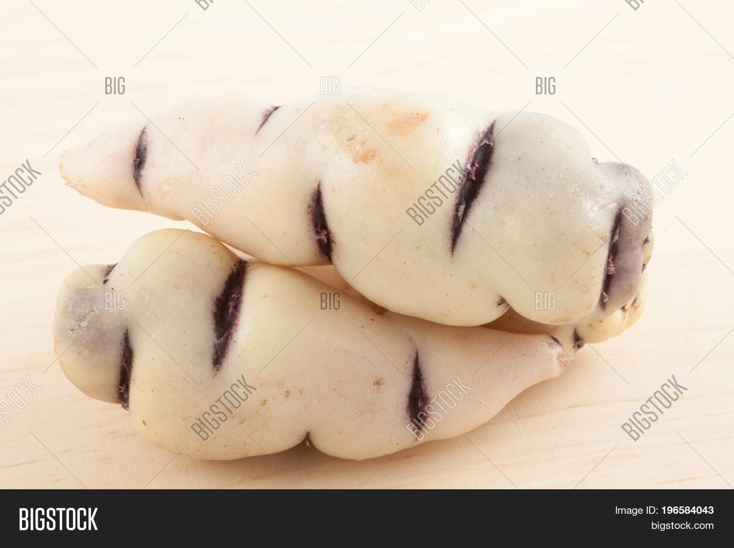 Imagen y foto Cubios (Tropaeolum (prueba gratis) | Bigstock