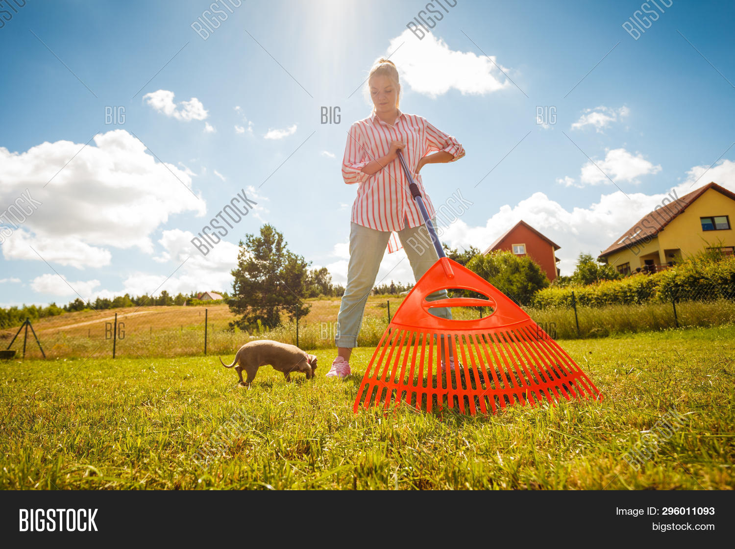Unusual Angle Woman Image & Photo (Free Trial) | Bigstock