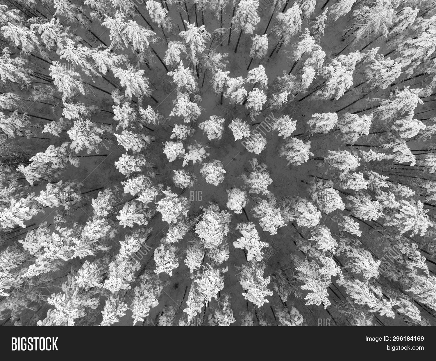 Aerial View Winter Image & Photo (Free Trial) | Bigstock