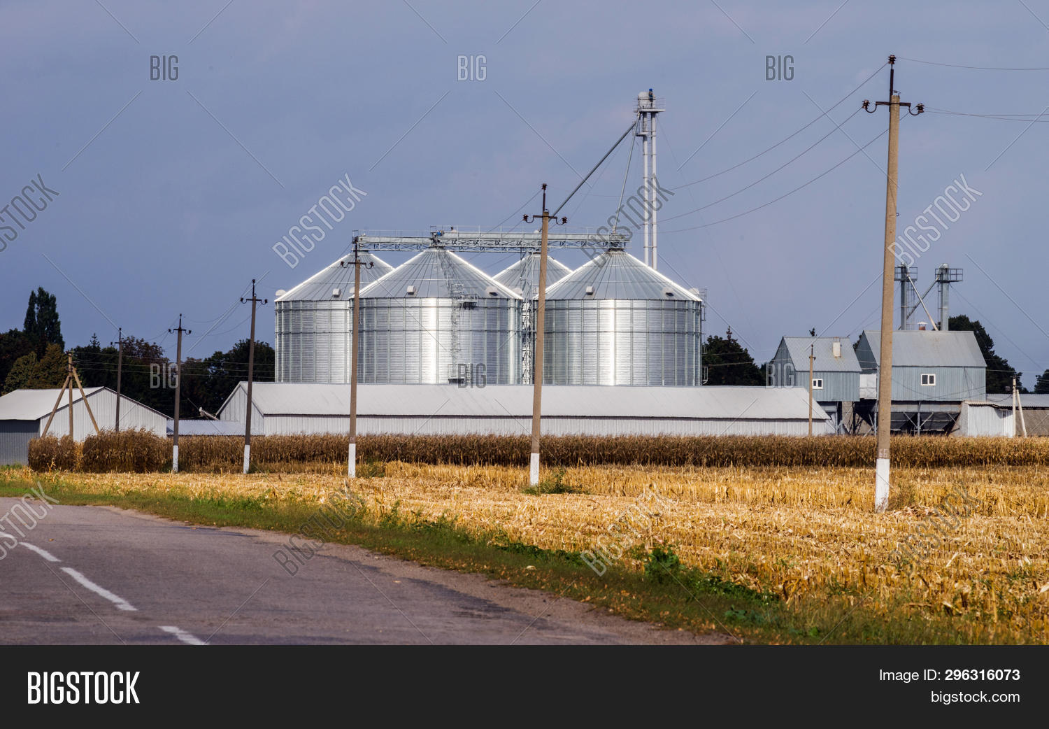 Road Field Mowed Corn Image & Photo (Free Trial) | Bigstock