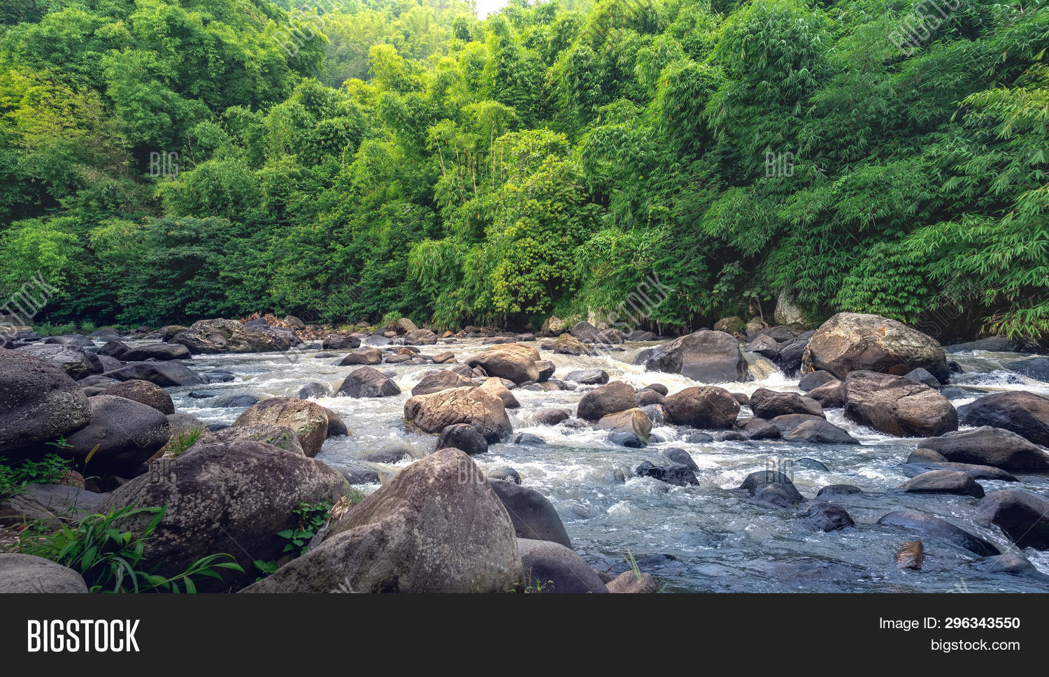 River Water Stream Image & Photo (Free Trial) | Bigstock