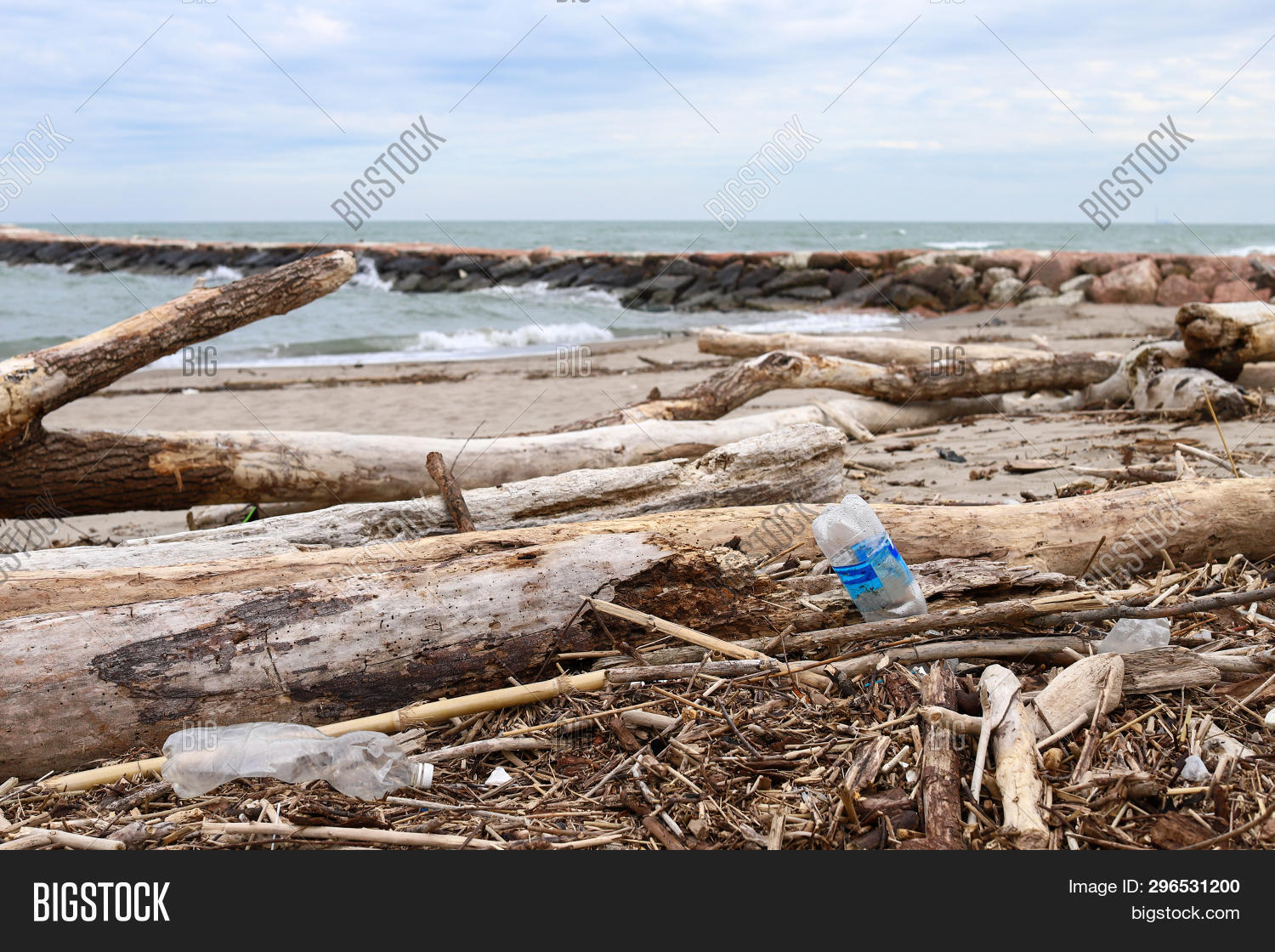 Environmental Problem Image & Photo (Free Trial) | Bigstock