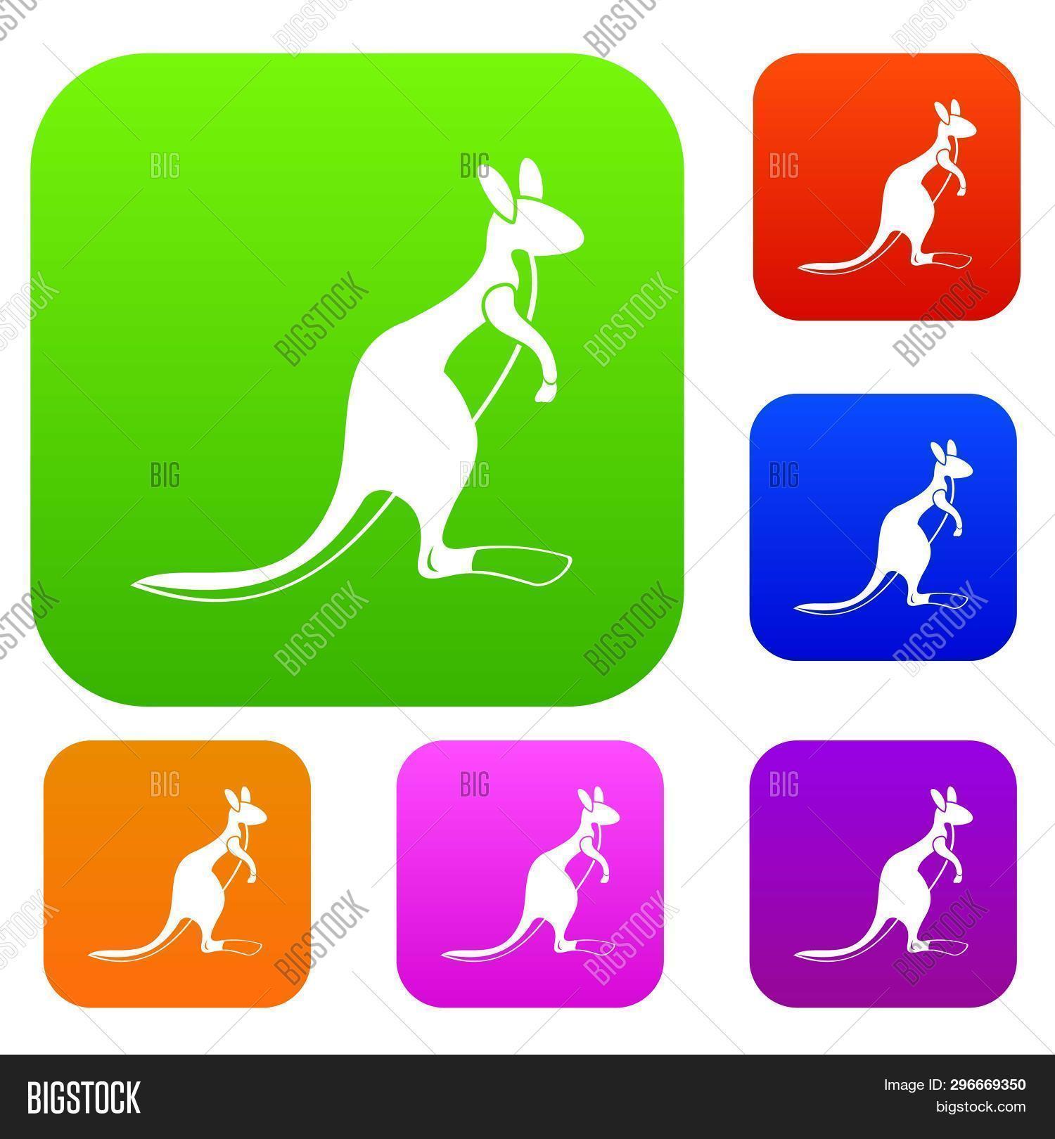 Kangaroo Set Icon Image & Photo (Free Trial) | Bigstock