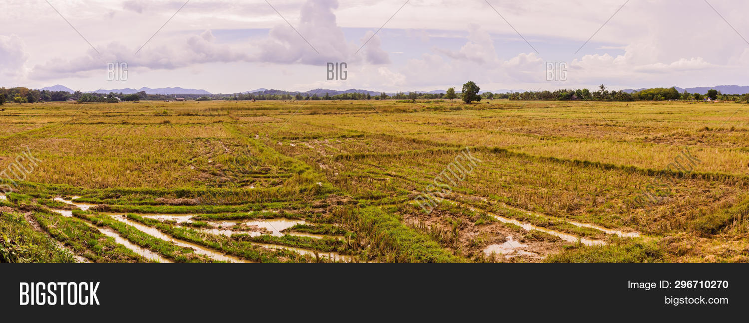 Panorama View Empty Image & Photo (Free Trial) | Bigstock