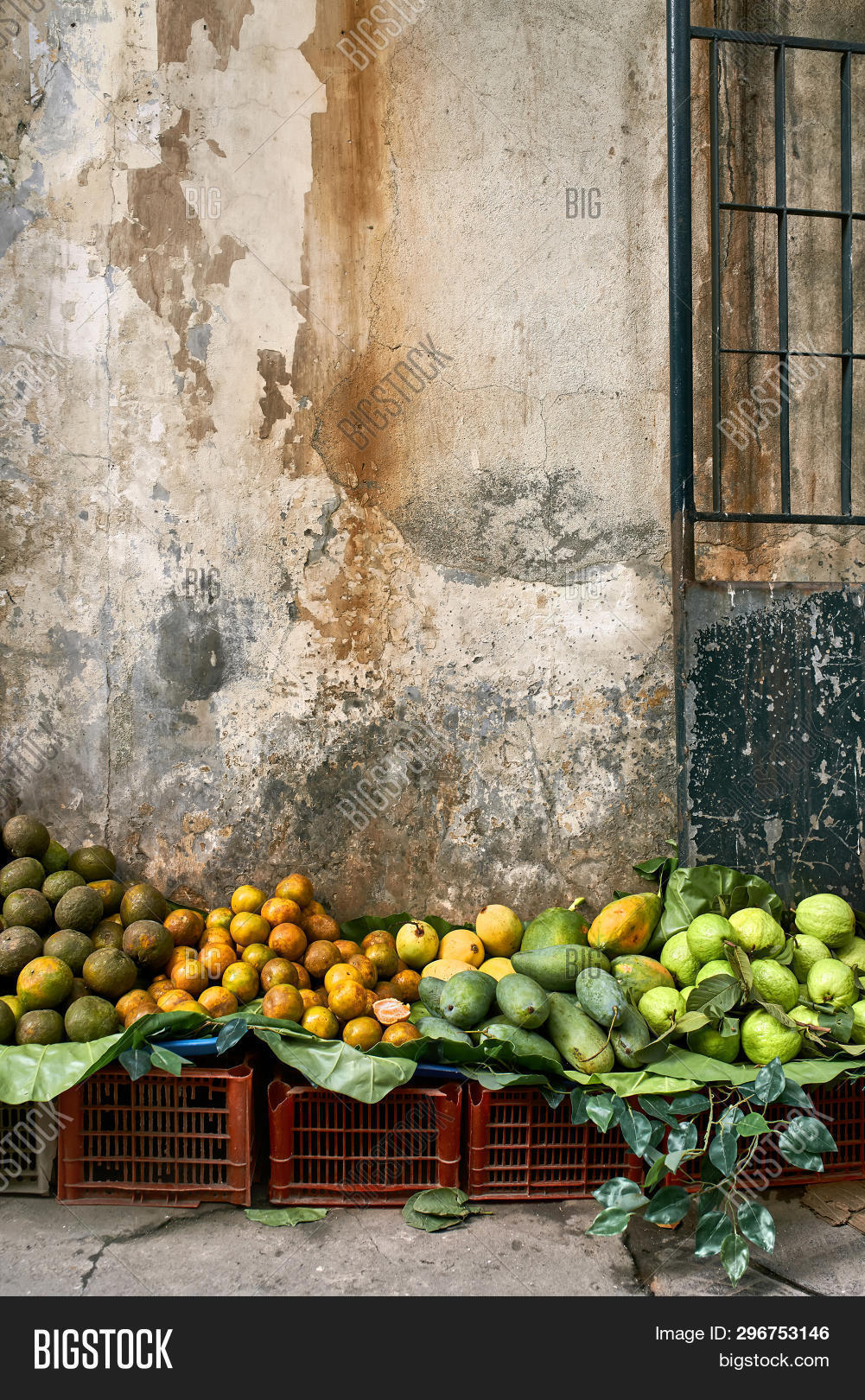 Tropical Fruit Lying Image & Photo (Free Trial) | Bigstock