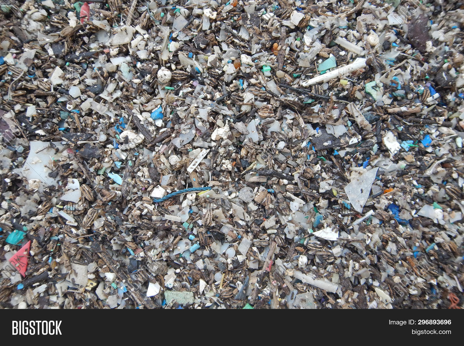 Micro Plastics Marine Image & Photo (Free Trial) | Bigstock