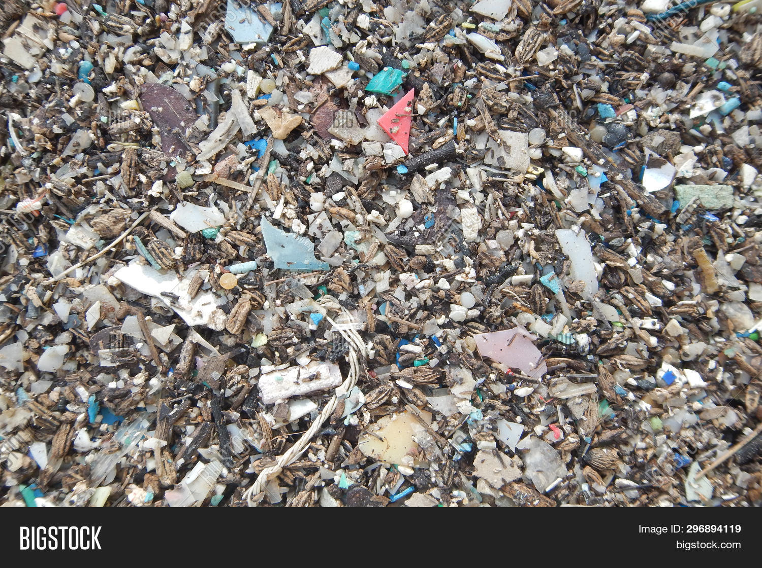 Micro Plastics Marine Image & Photo (Free Trial) | Bigstock