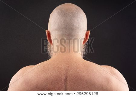 Portrait Bald Man Image & Photo (Free Trial) | Bigstock