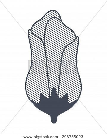 Sepal Images, Illustrations & Vectors (Free) - Bigstock