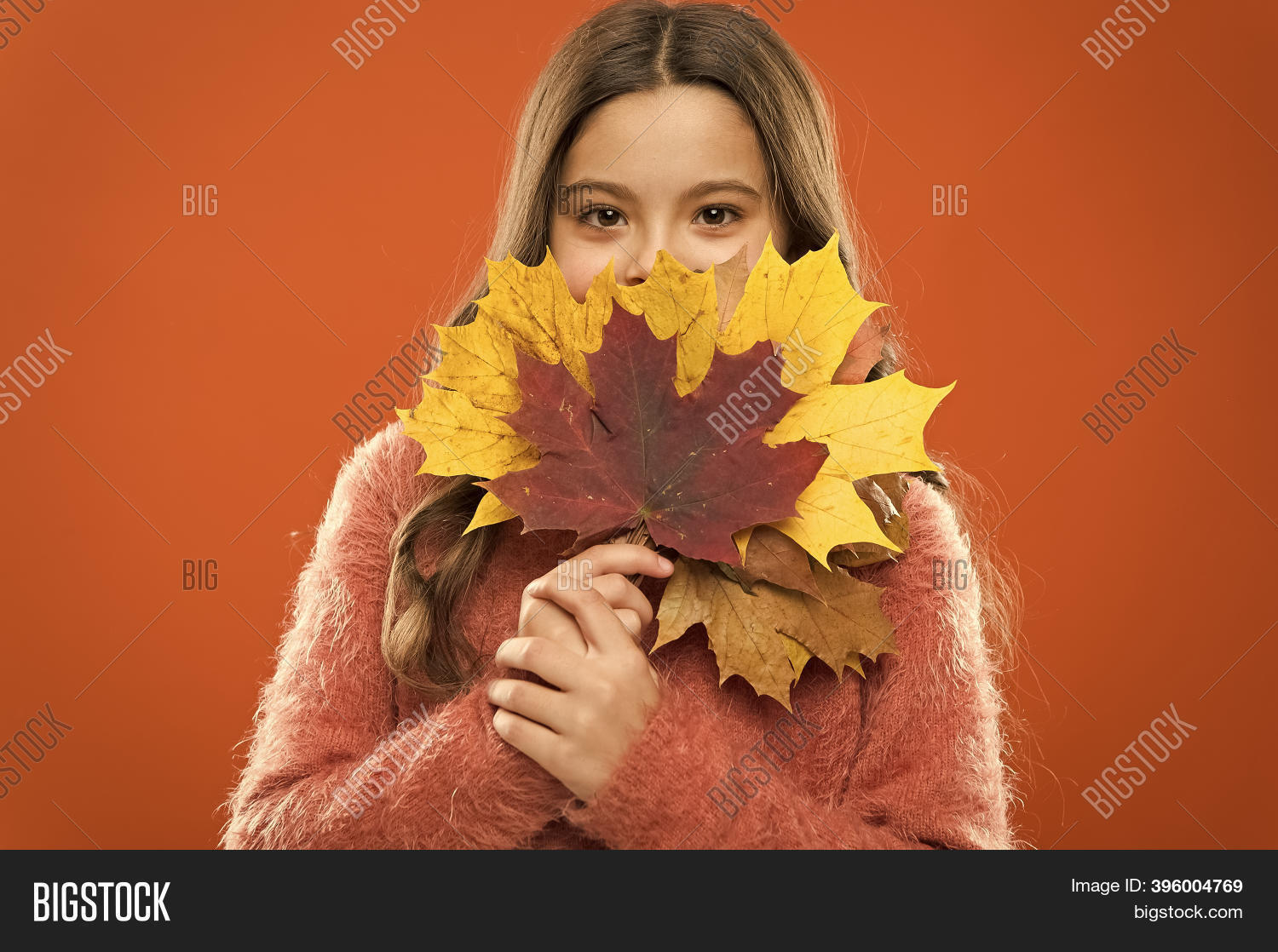 Natural Treasures. Image & Photo (Free Trial) | Bigstock
