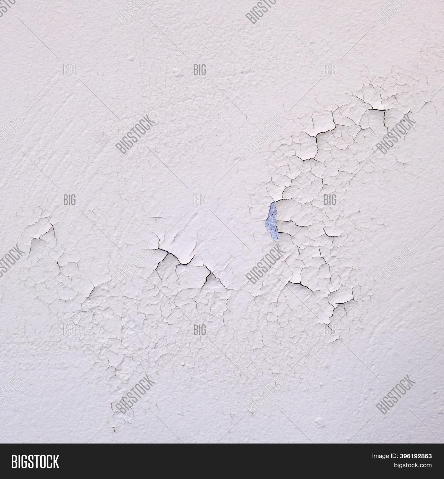 Spoiled Fresh White Image & Photo (Free Trial) | Bigstock