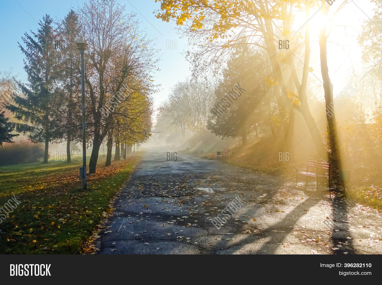 Walkway Sun Autumn Image & Photo (Free Trial) | Bigstock