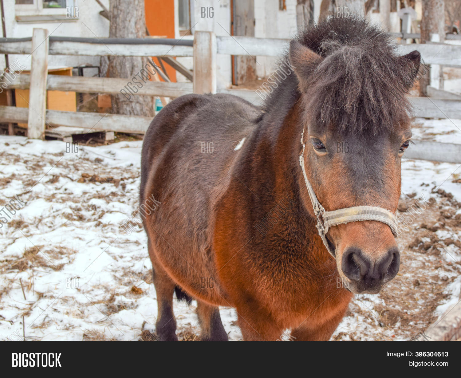 Portrait Sad Little Image & Photo (Free Trial) | Bigstock