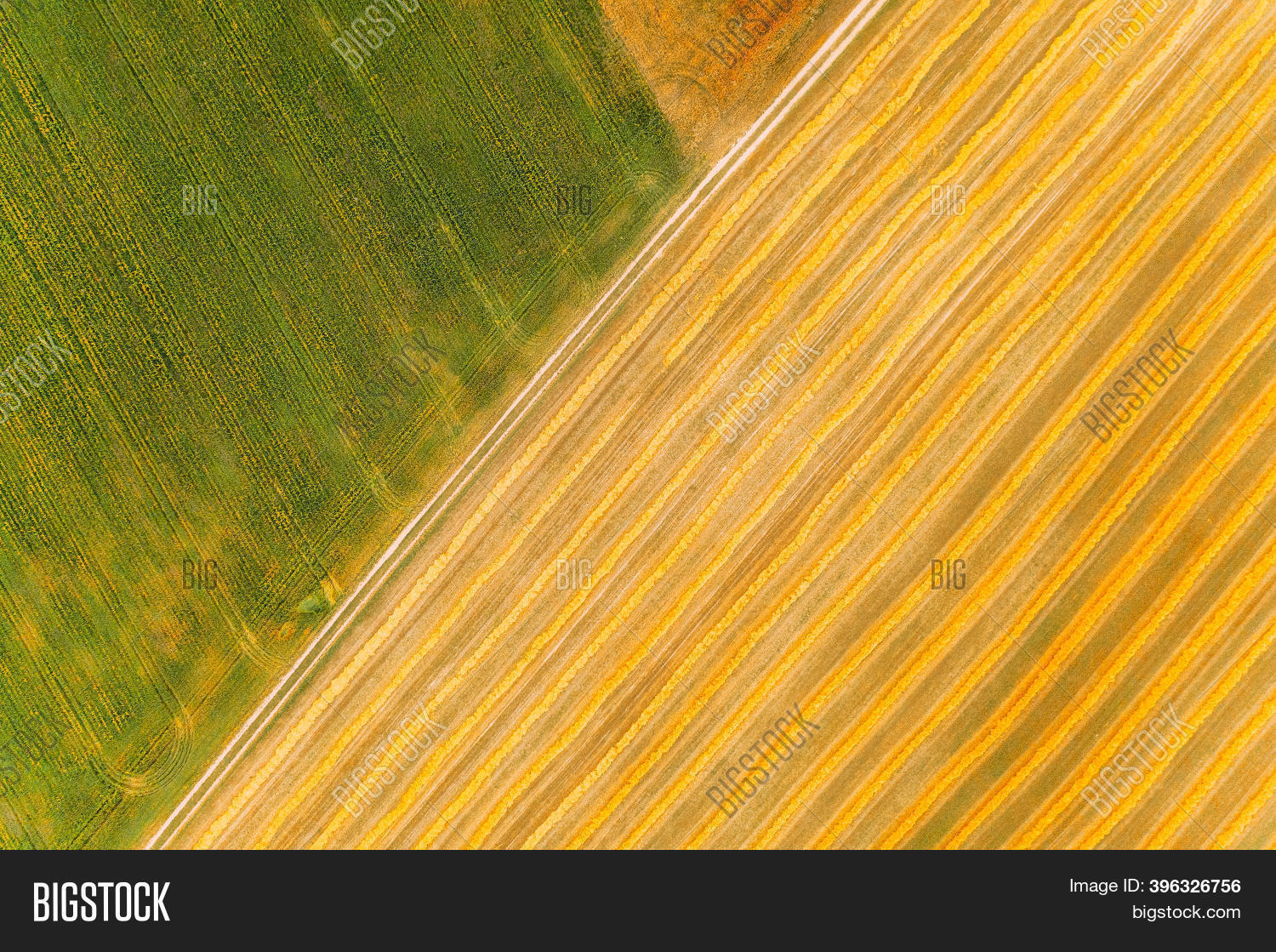 Aerial View Summer Hay Image & Photo (Free Trial) | Bigstock
