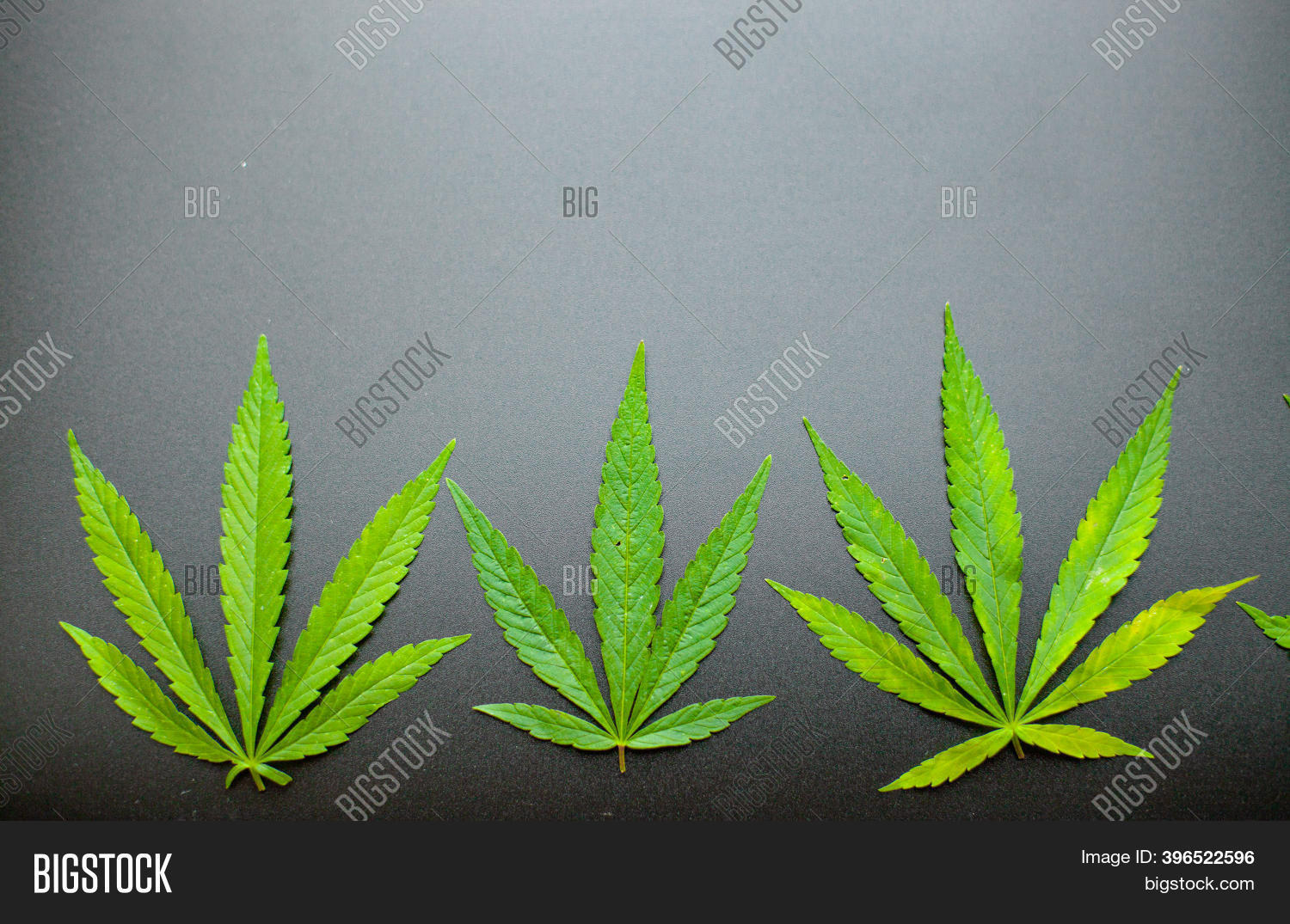 Medical Cannabis Image & Photo (Free Trial) | Bigstock