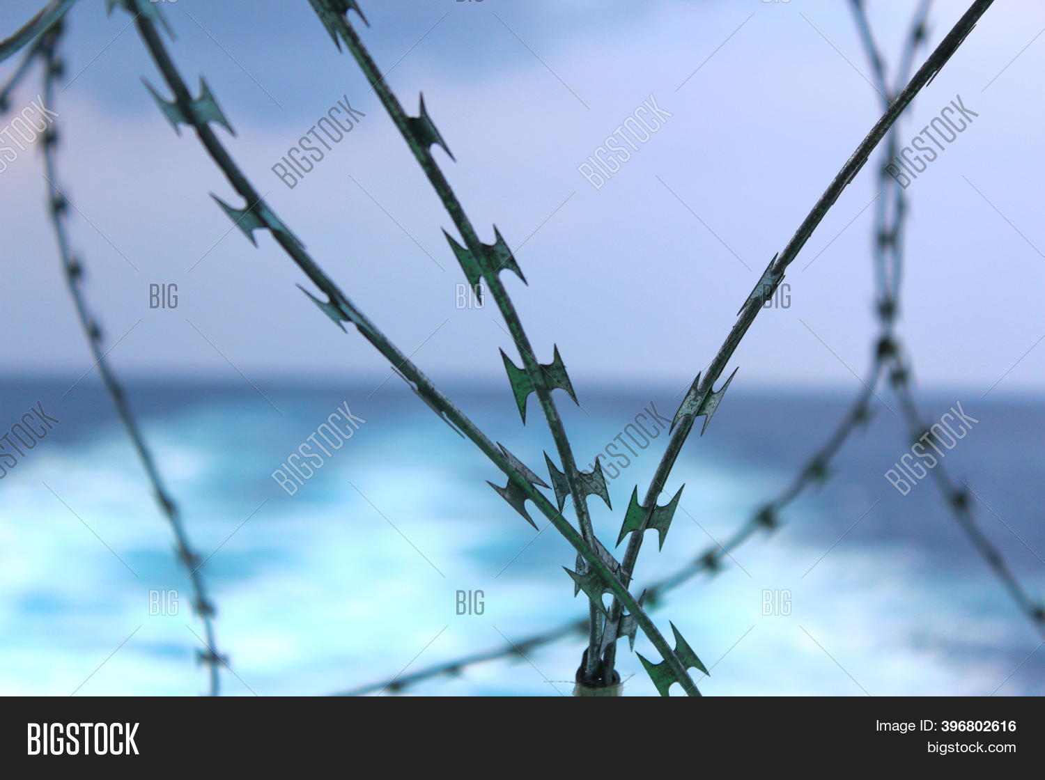 Close Shot Razor Wire Image & Photo (Free Trial) | Bigstock
